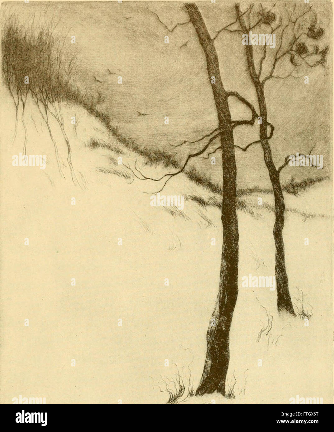 Sketches in Duneland (1918) presents artistic depictions and written ...