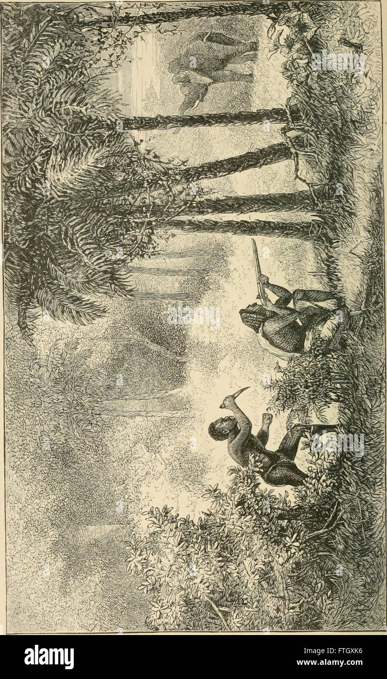 A 1876 exploration of sports in Abyssinia (Ethiopia), focusing on ...