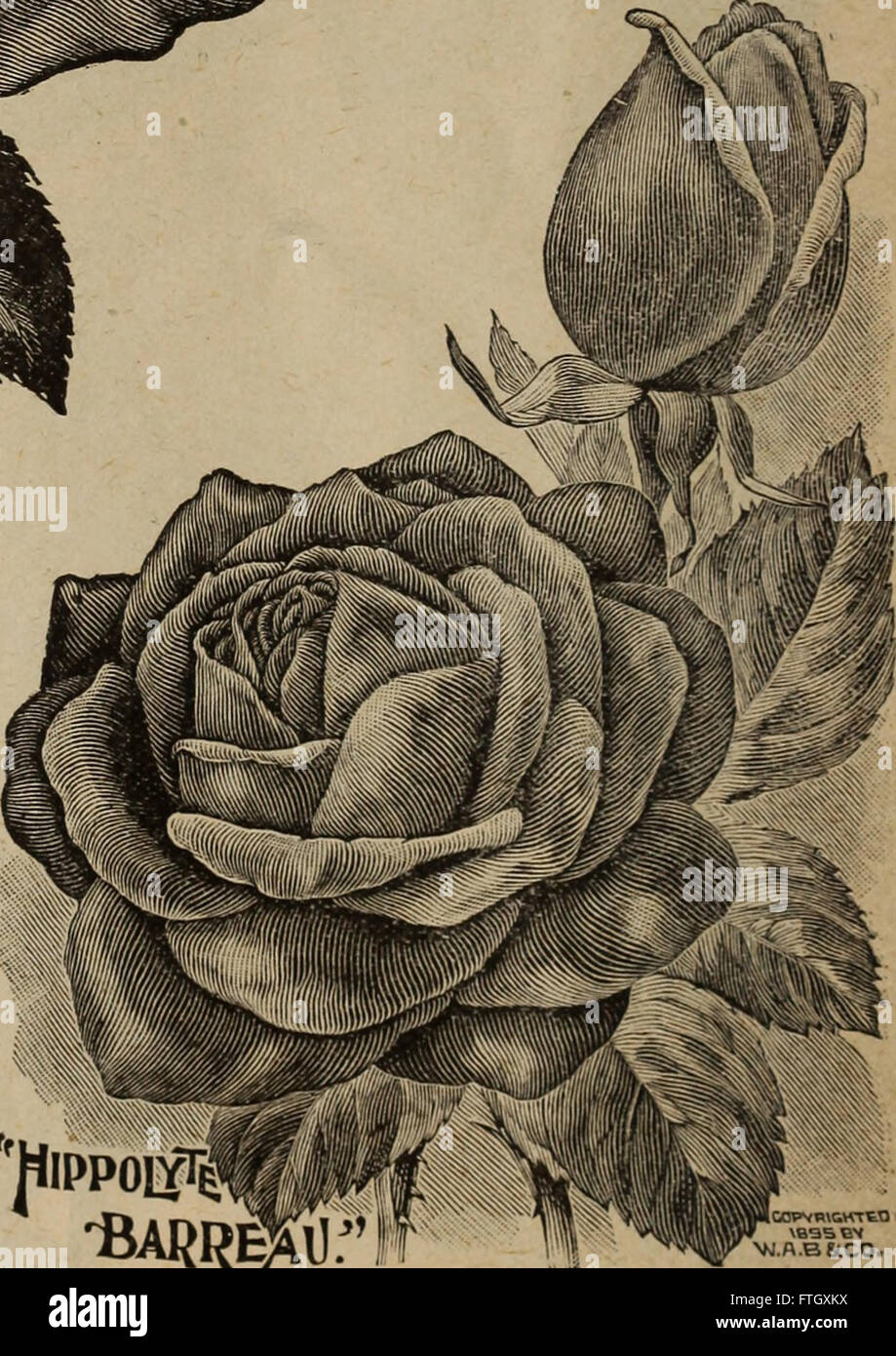 *Spring 1899* (1899) is a periodical publication offering insights into ...