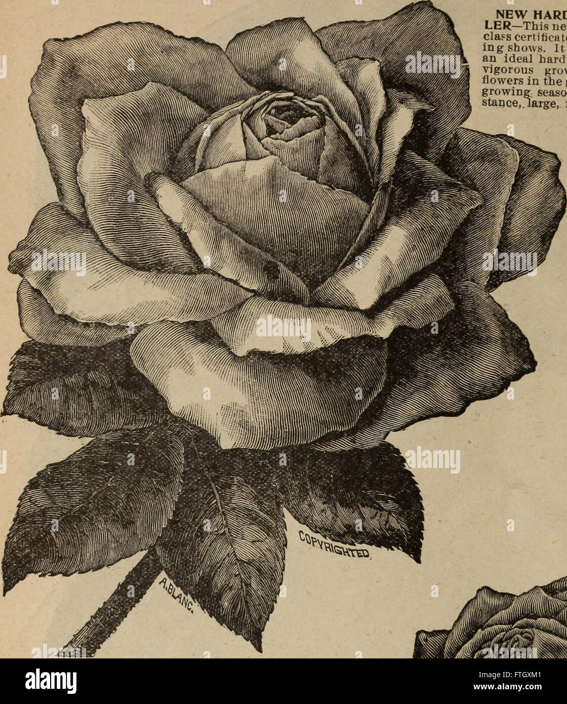 A publication from 1899 capturing the events, cultural activities, and ...