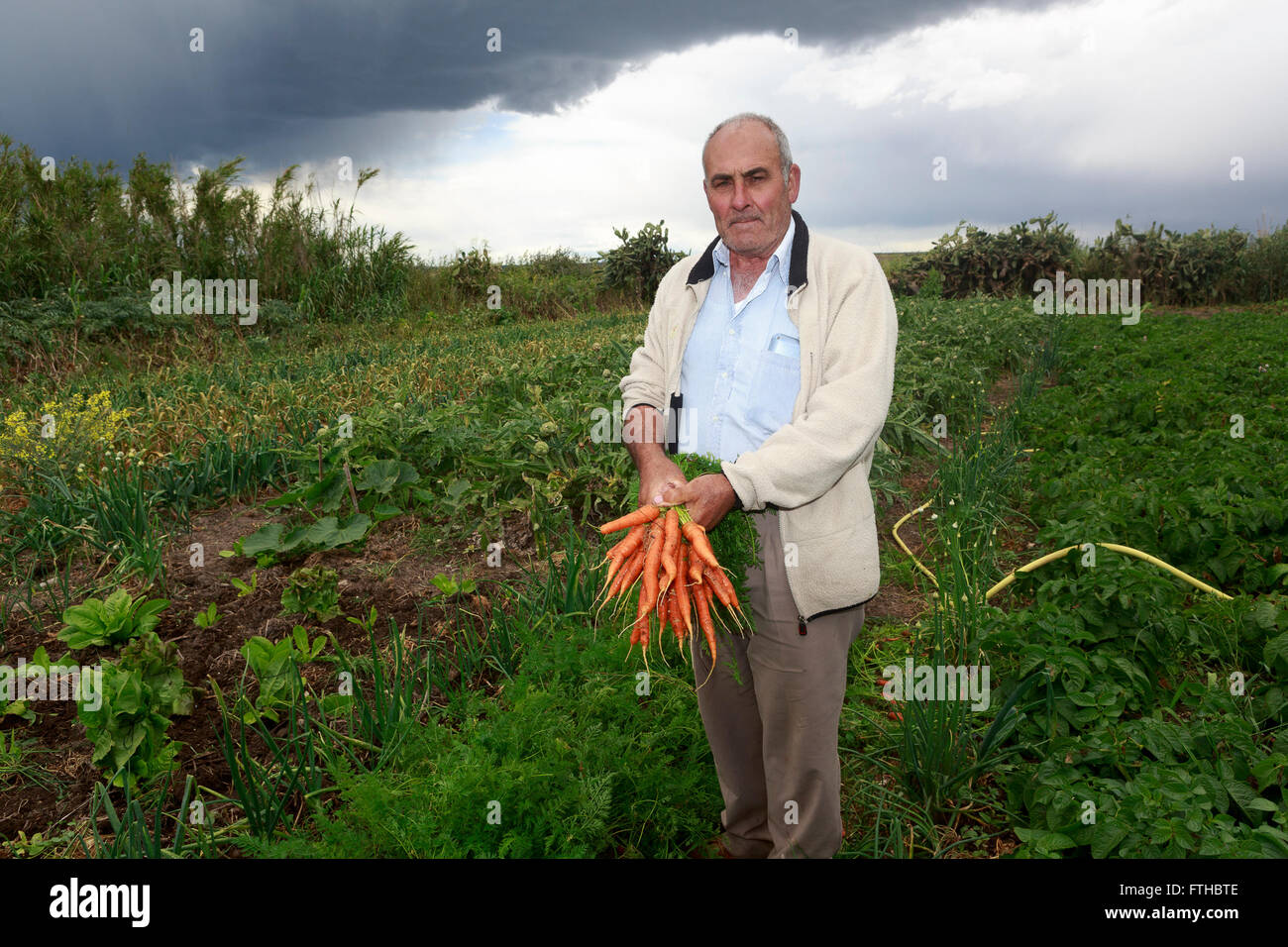 Farmer show carrots in the vegetable garden Pic by Pako Mera Stock ...