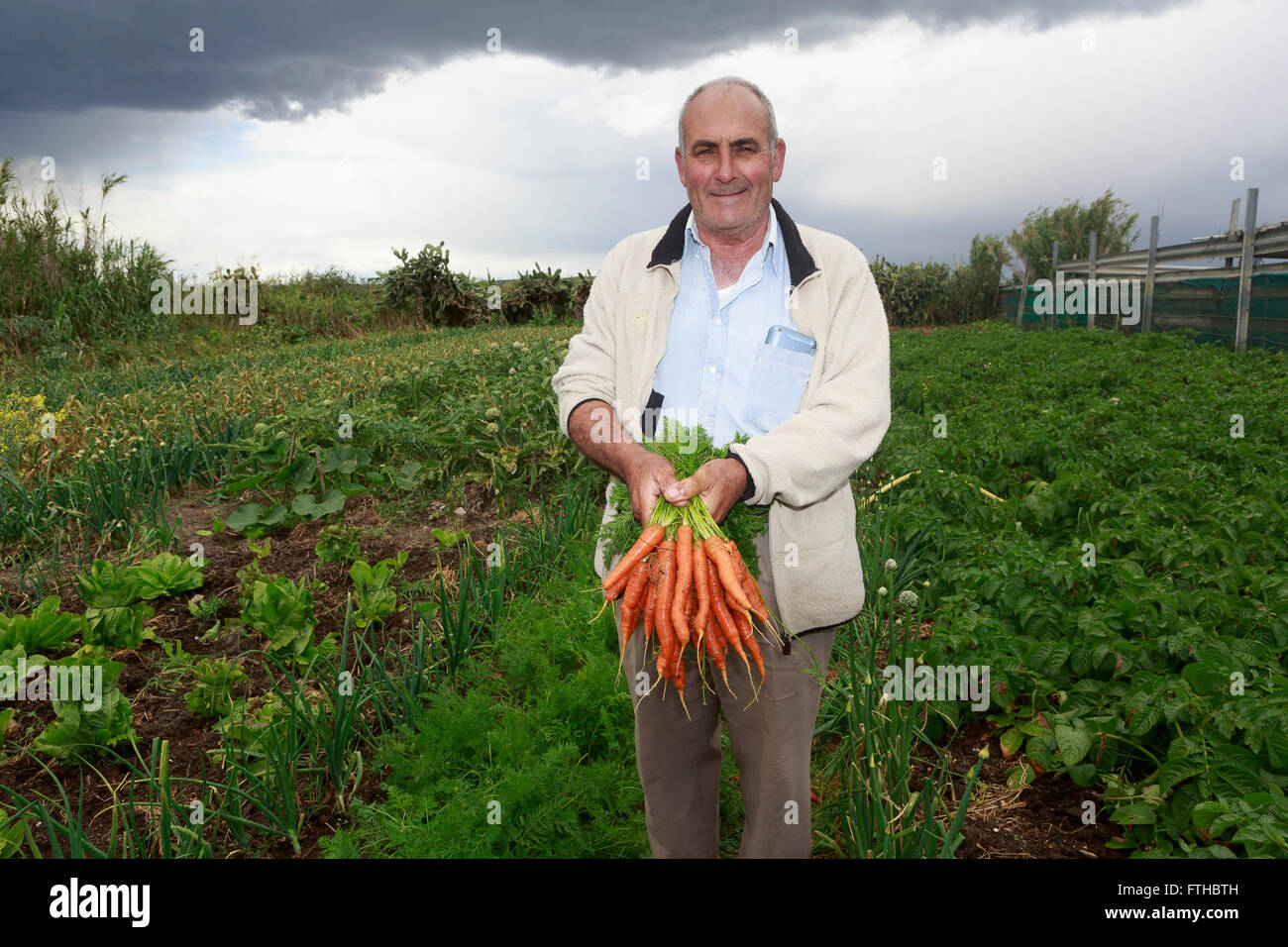 Farmer show carrots in the vegetable garden Pic by Pako Mera Stock ...