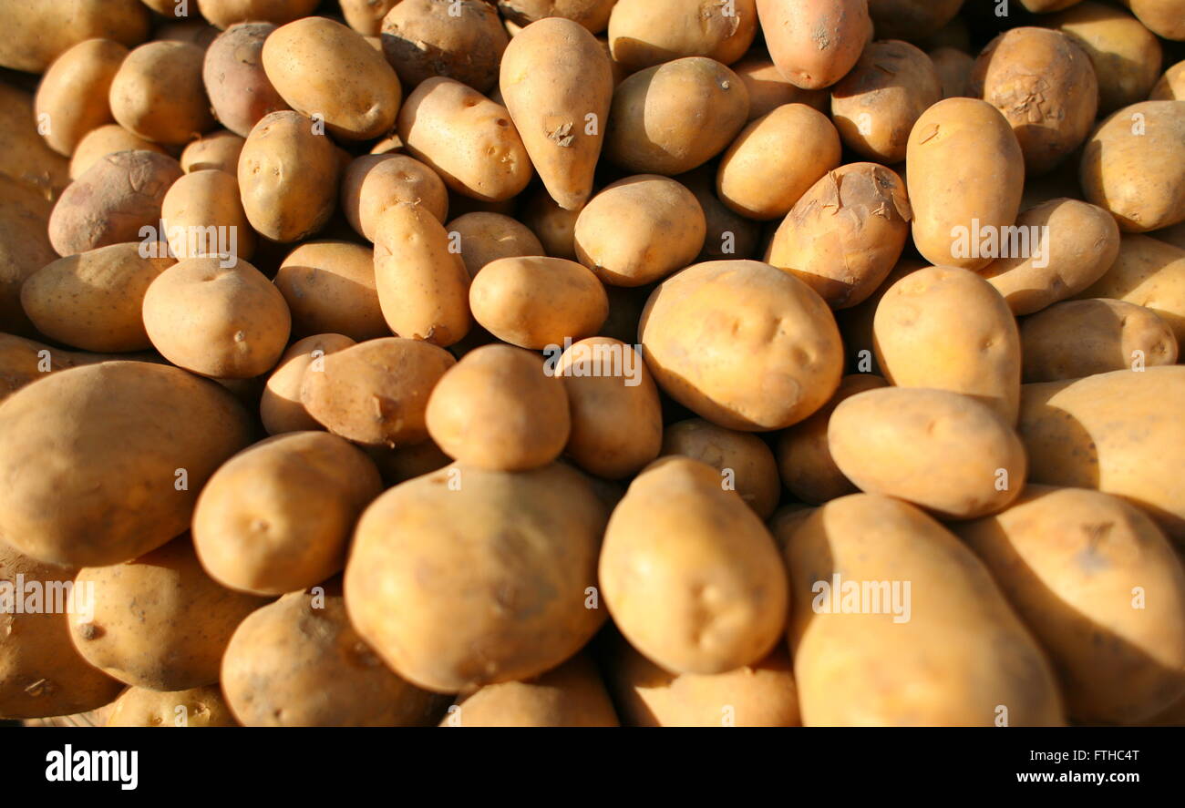 Large potatoes hi-res stock photography and images - Alamy