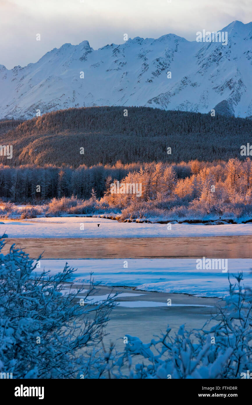 River bank and forest covered with snow, Haines, Alaska, USA Stock ...