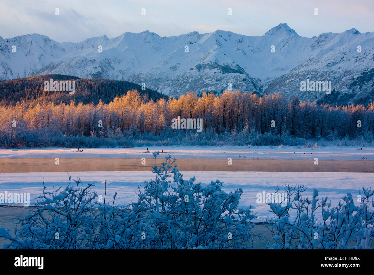Alaska river bank hi-res stock photography and images - Alamy