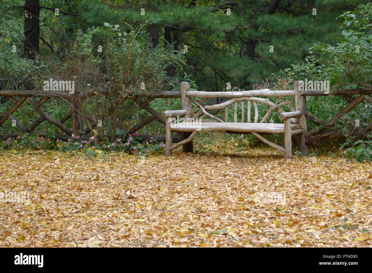 Wooden Bench and Fallen Leaves in New York Central Park Stock Photo - Alamy