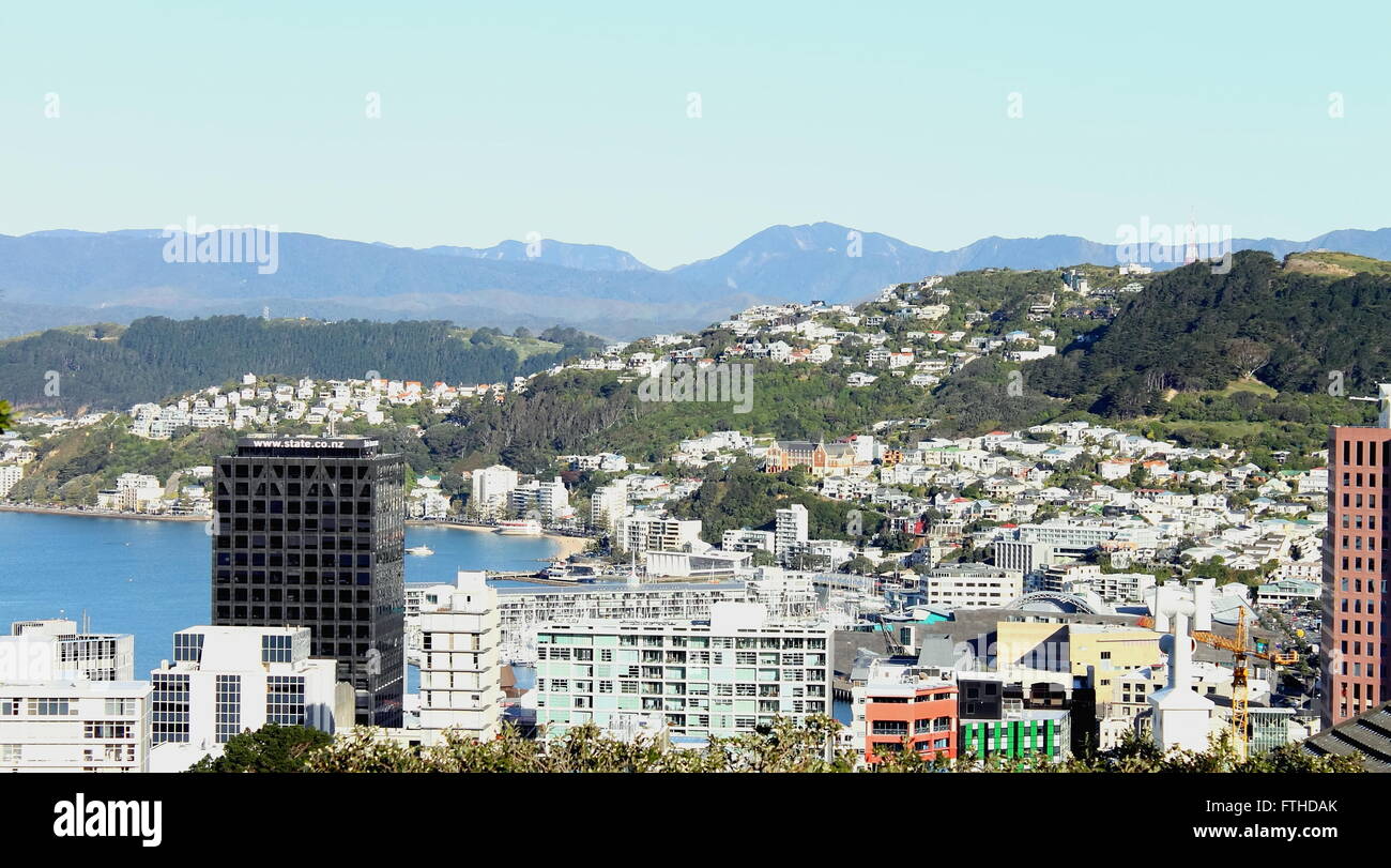 Wellington City and Harbour, New Zealand Stock Photo - Alamy