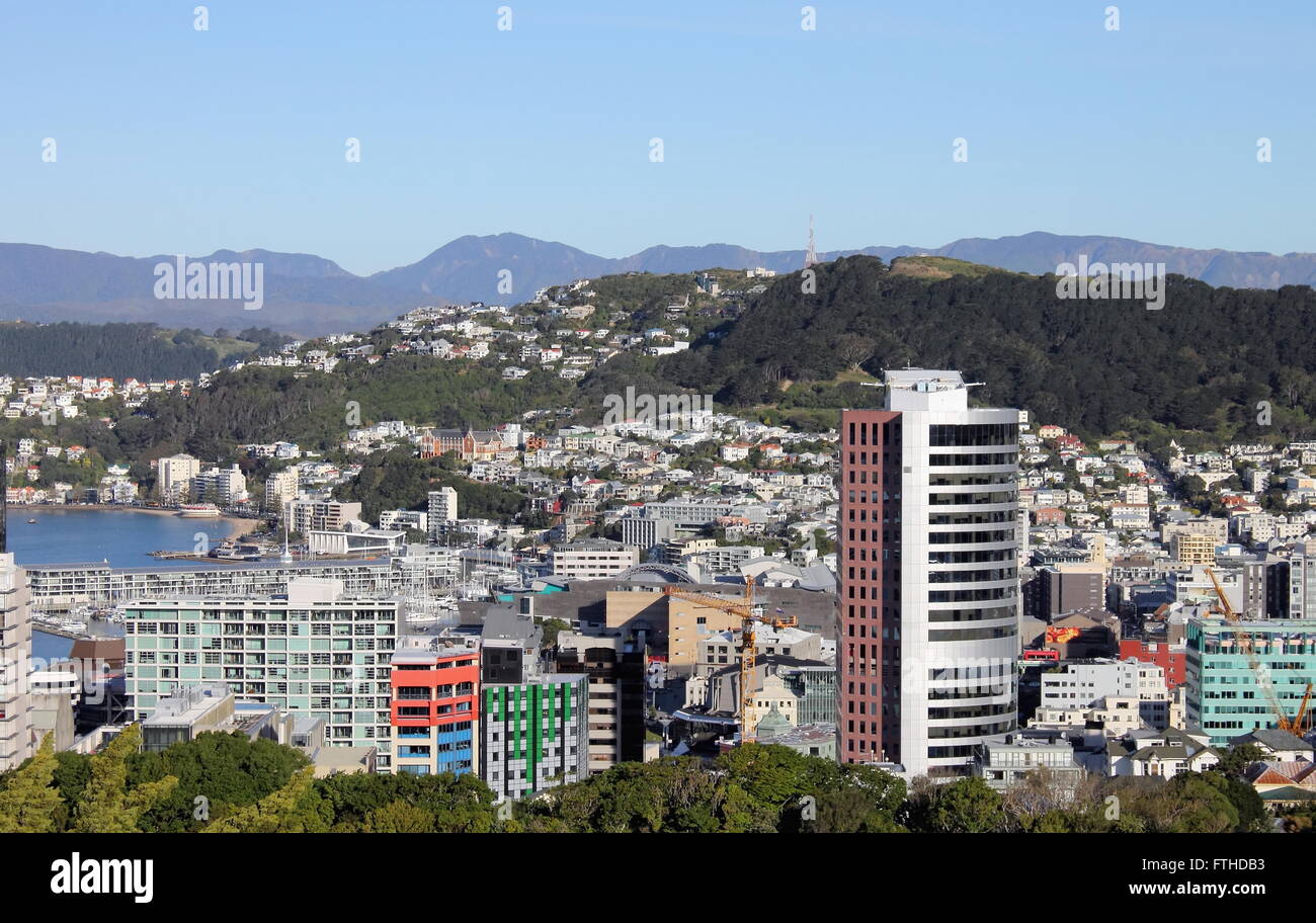 Wellington City, New Zealand Stock Photo - Alamy