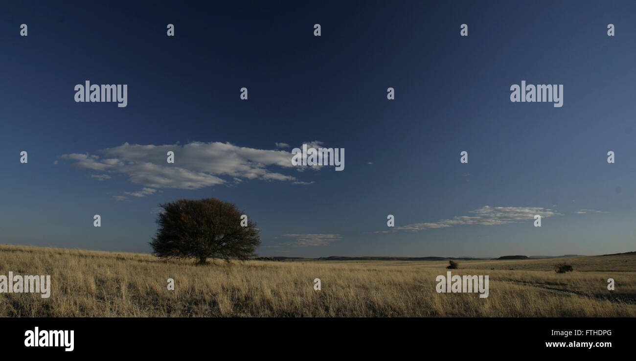 Freestate hi-res stock photography and images - Alamy