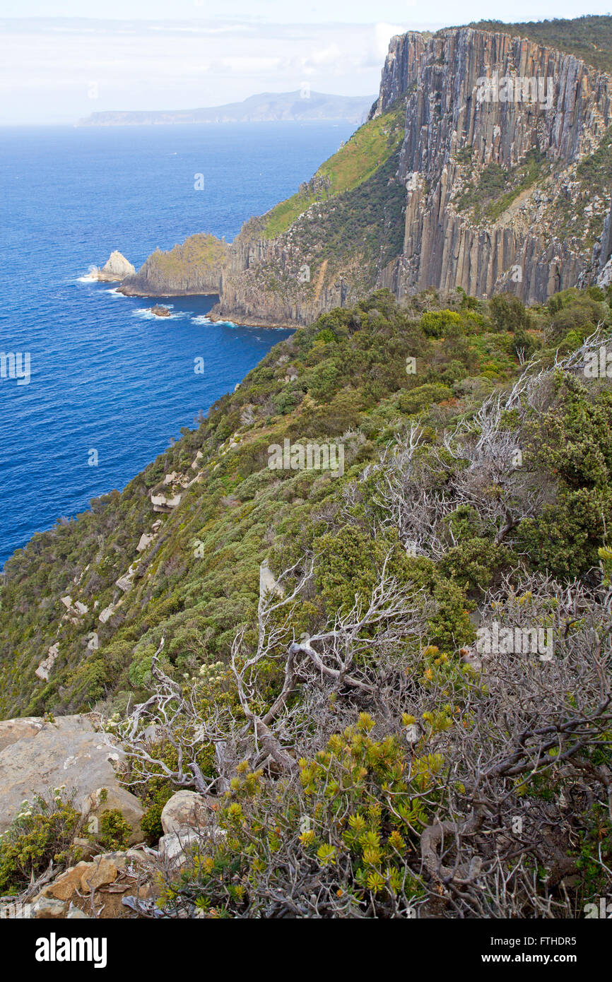 Tasman Peninsula cliffs near Cape Pillar Stock Photo - Alamy