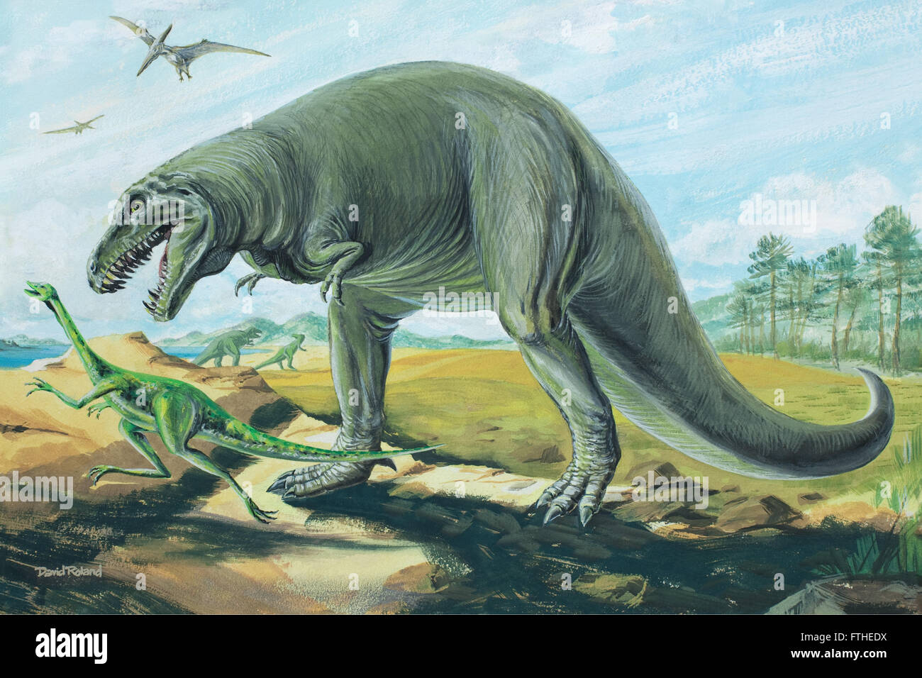 Cretaceous landscape hi-res stock photography and images - Alamy