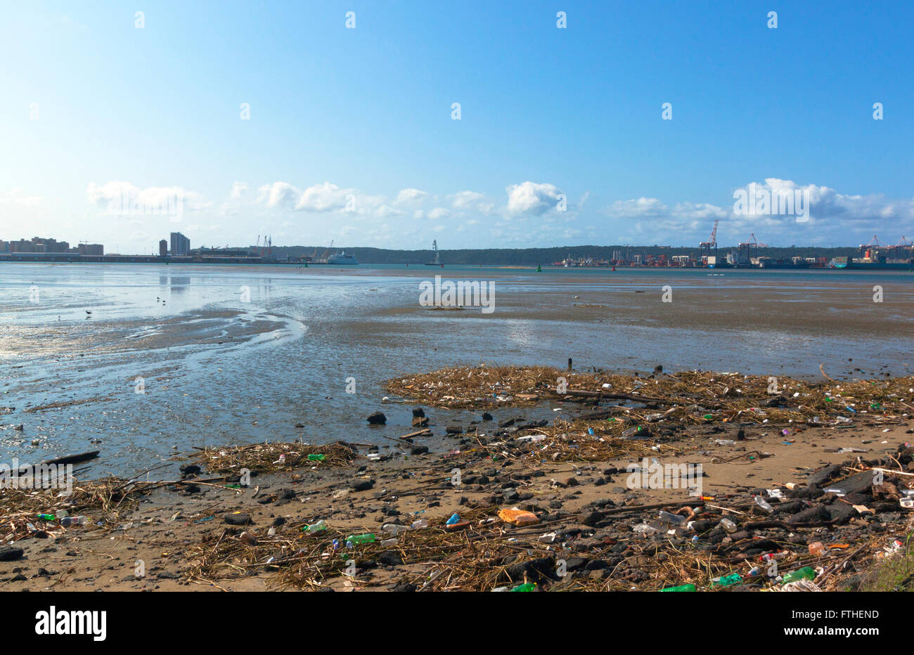 pollution and litter in the shallows of harbor Stock Photo - Alamy