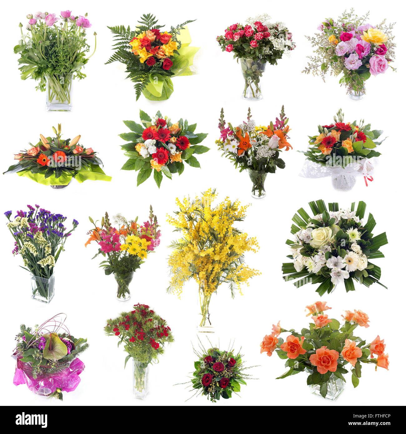 group of cutting flowers in front of white background Stock Photo - Alamy