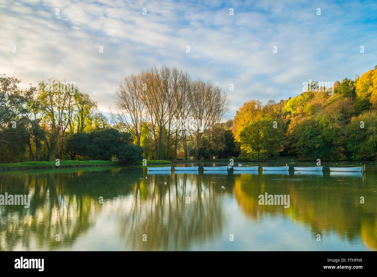 Swanbourne Lake at Arundel Stock Photo - Alamy