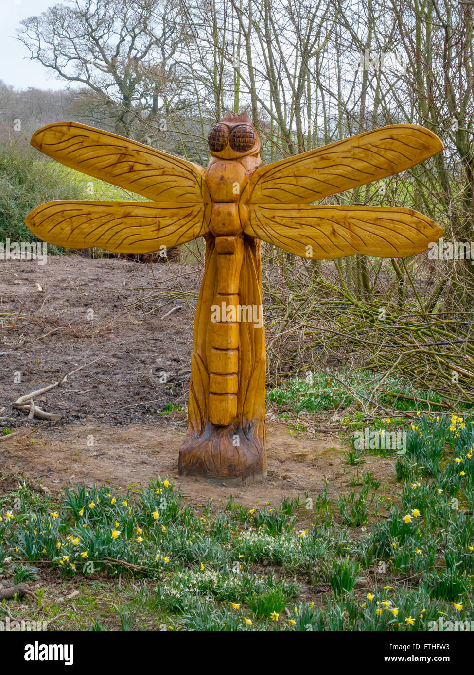 A Carved wooden sculpture of a dragonfly at North Yorkshire Moors ...