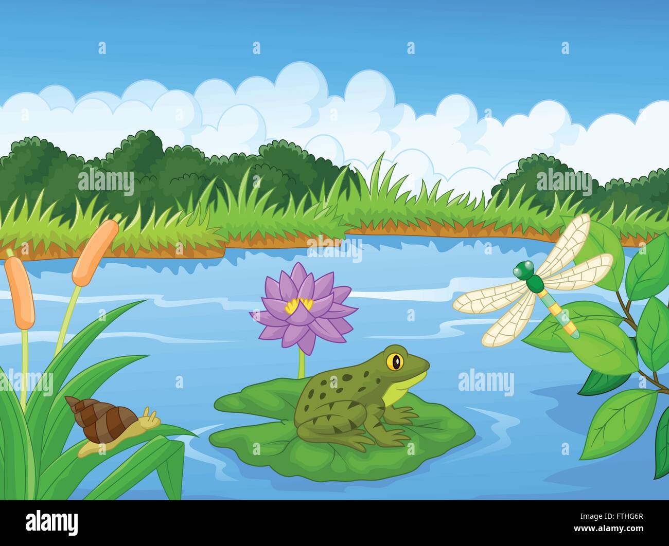 Illustration of a frog at the river Stock Vector Image & Art - Alamy