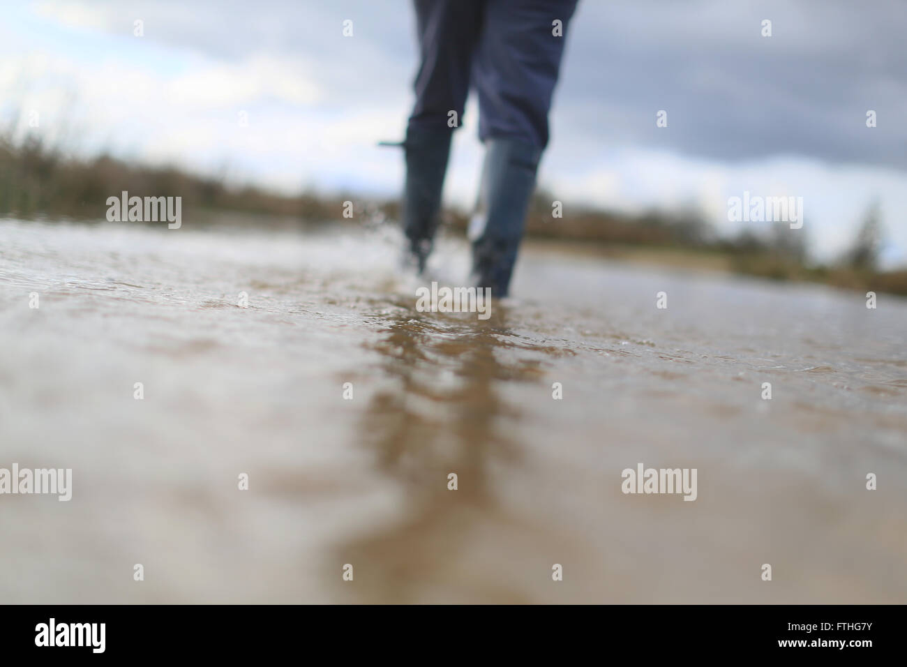 Doxey Marshes Nature Reserve Staffordshire Stock Photo - Alamy