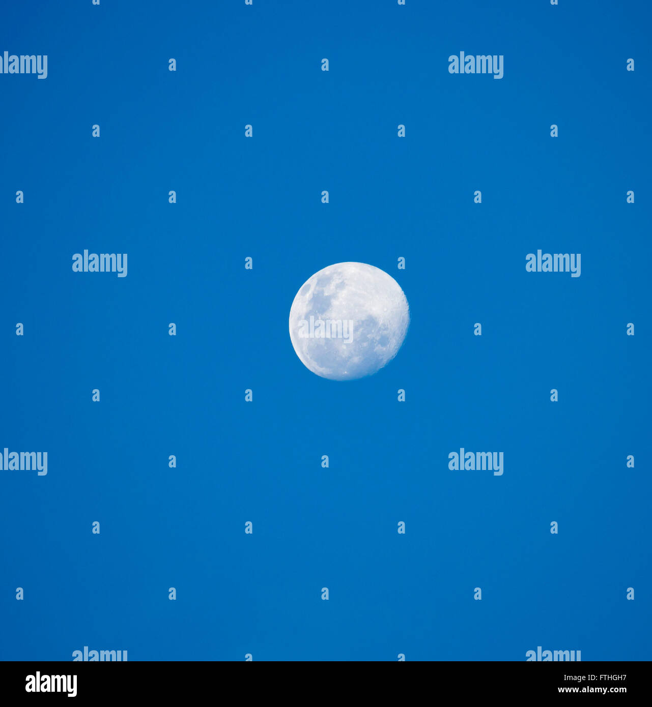 The moon in an early morning Australian sky reflects the sunlight ...