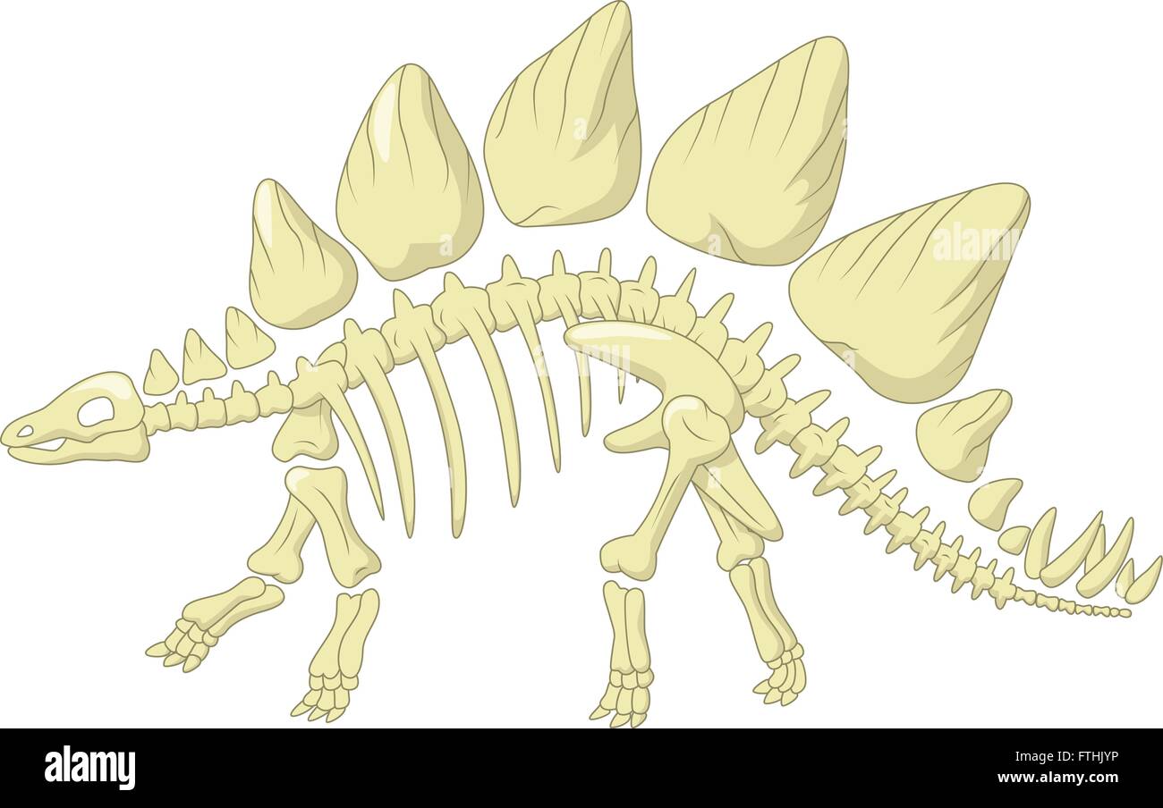 Pangolin skull hi-res stock photography and images - Alamy