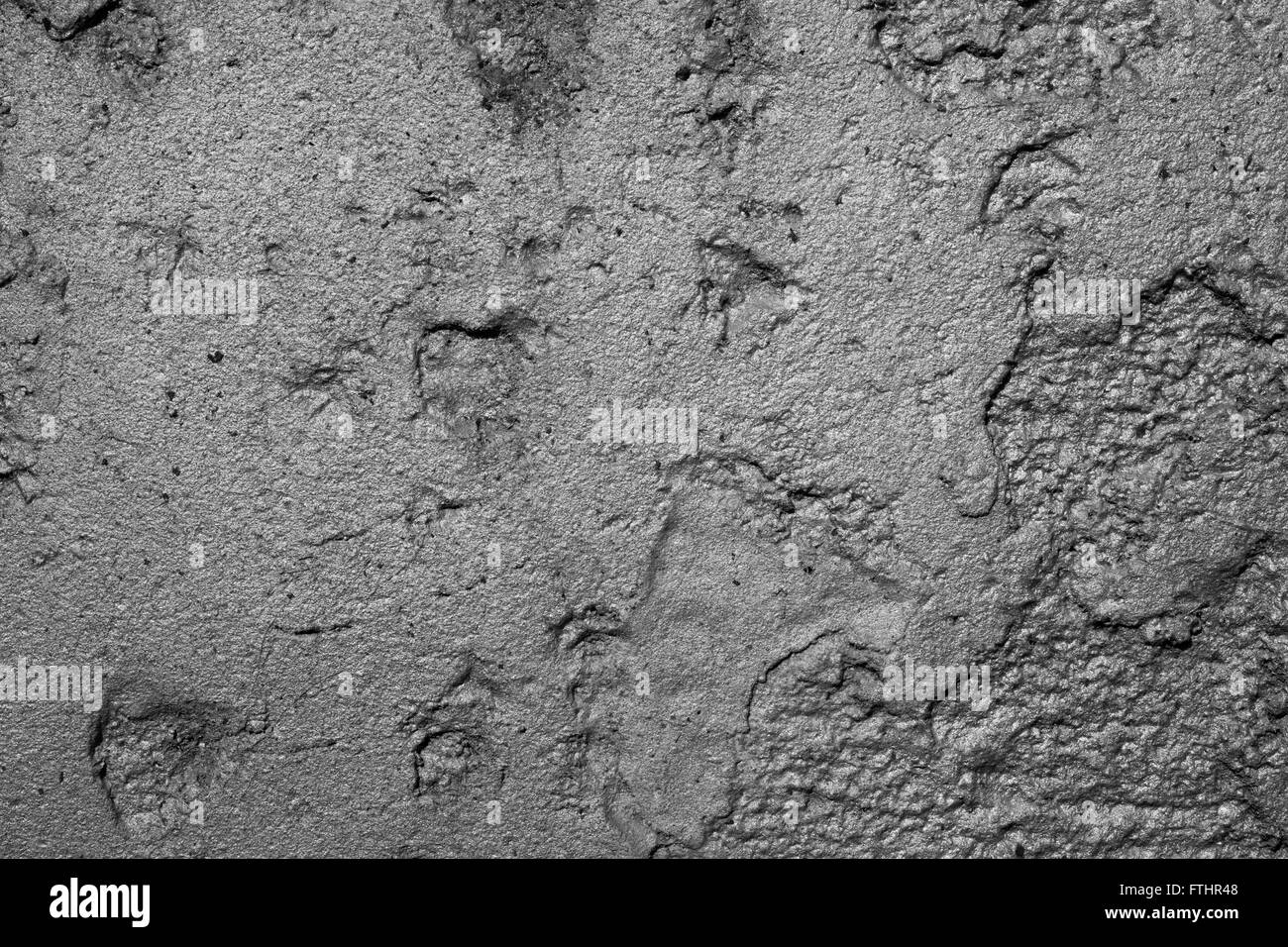 The texture of new wet cement mortar Stock Photo - Alamy