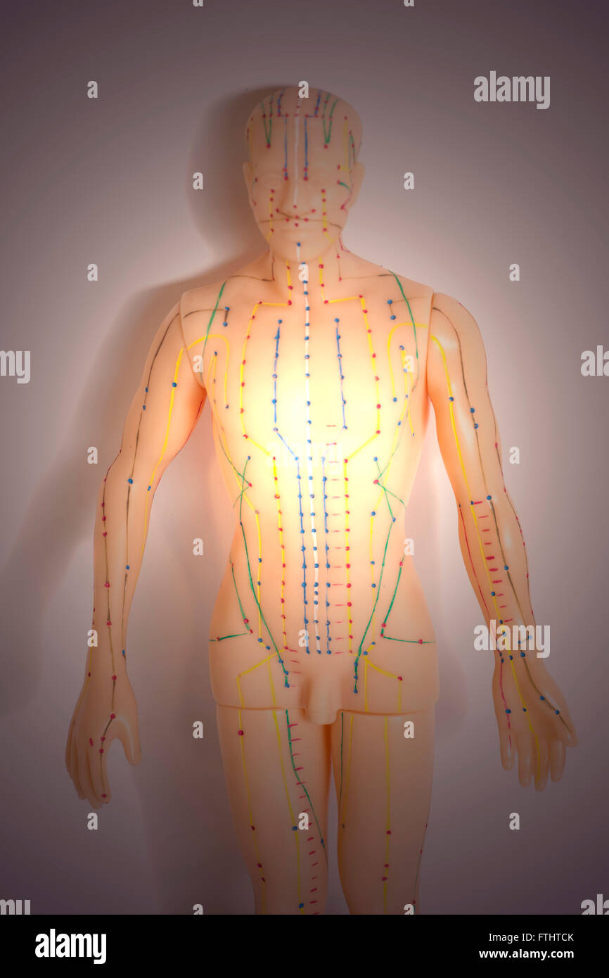 Medical acupuncture model of human on gray background Stock Photo - Alamy