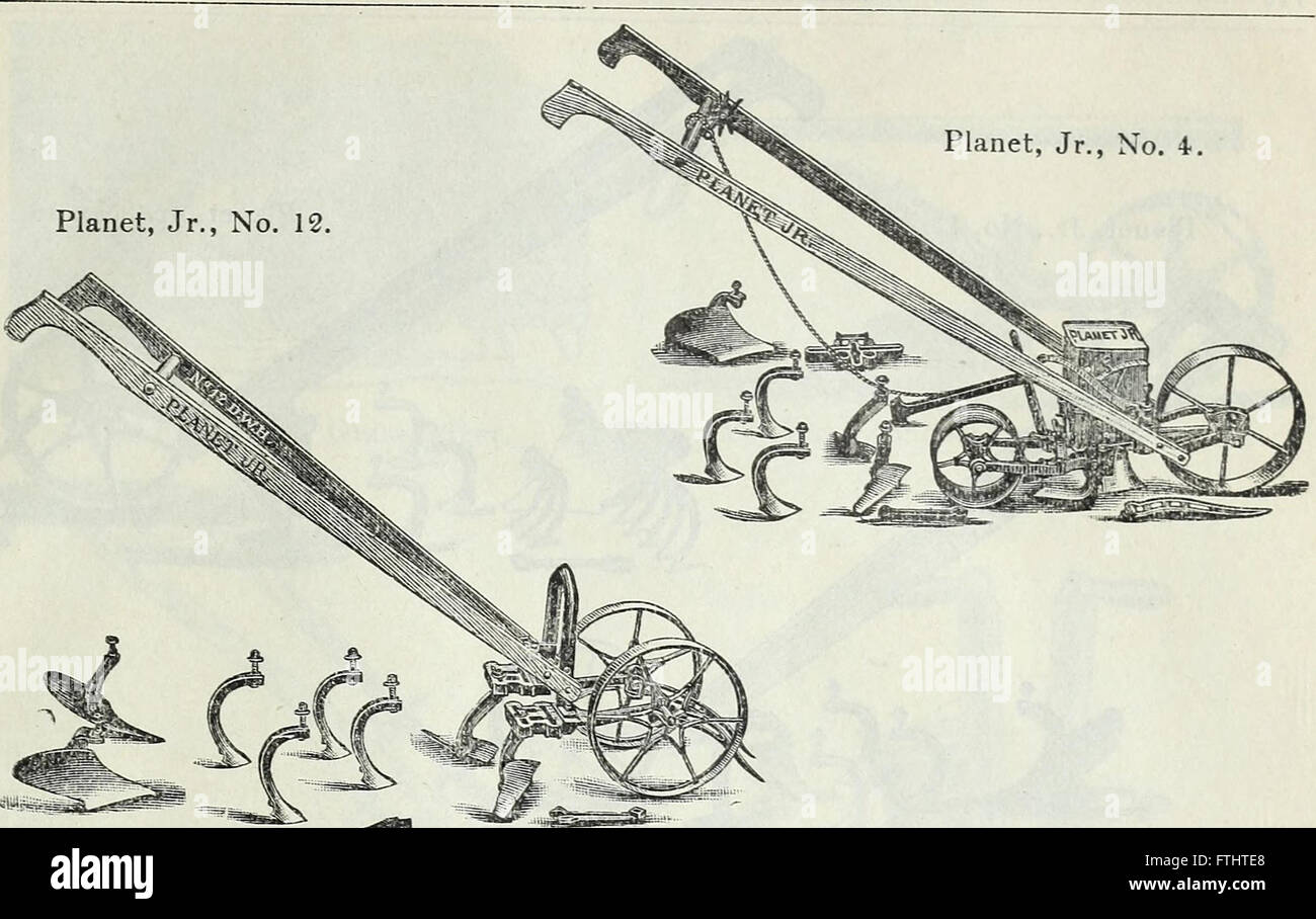 This 1907 catalog from Steckler's Seeds provides an extensive list of ...