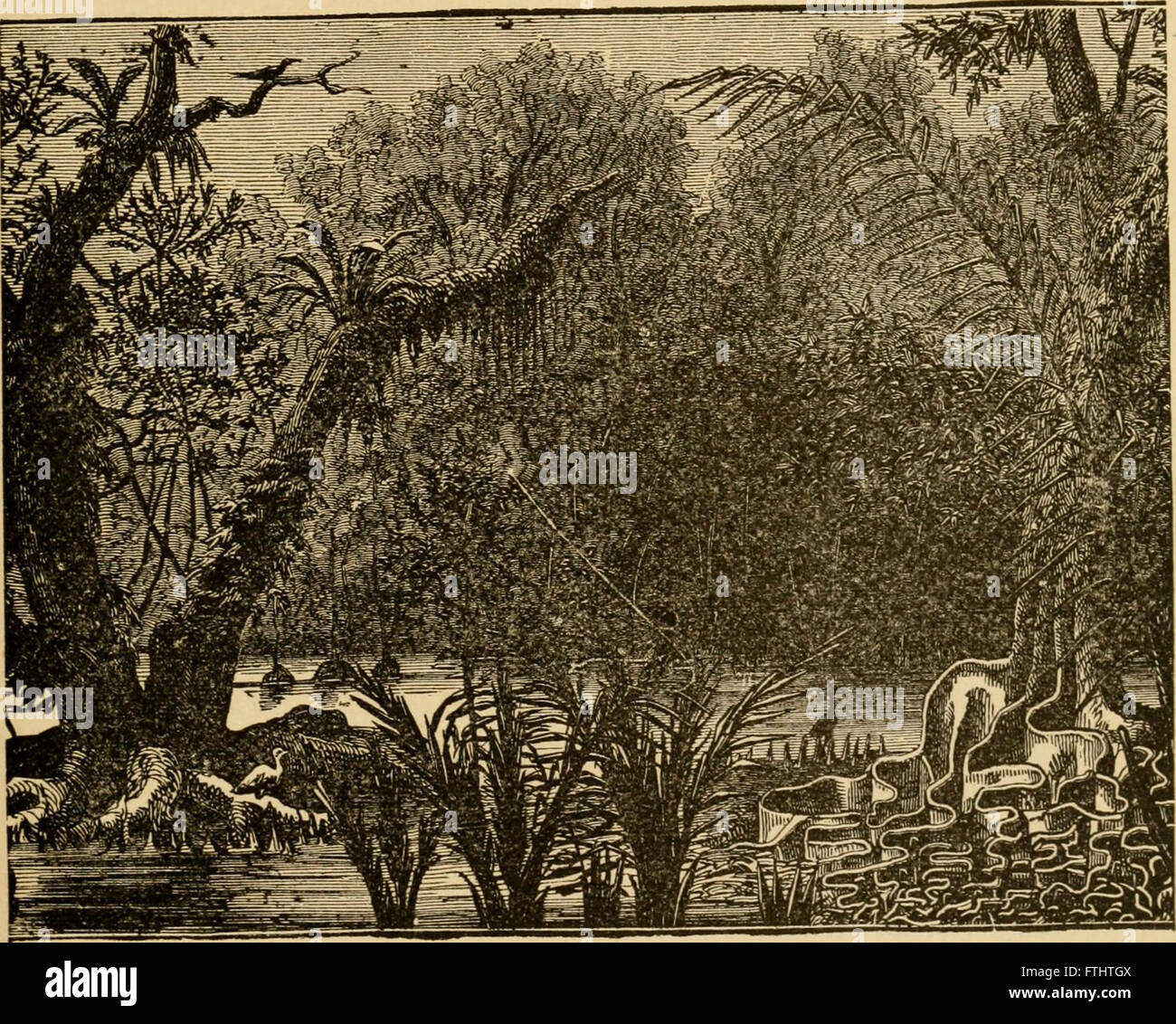 *Stories of the Three Americas* (1890) provides a detailed account of ...