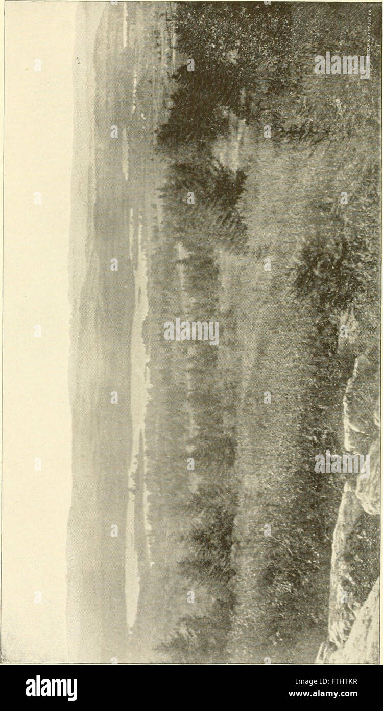 'Sugar Maple and Other Poems' (1892) is a collection of poetry ...