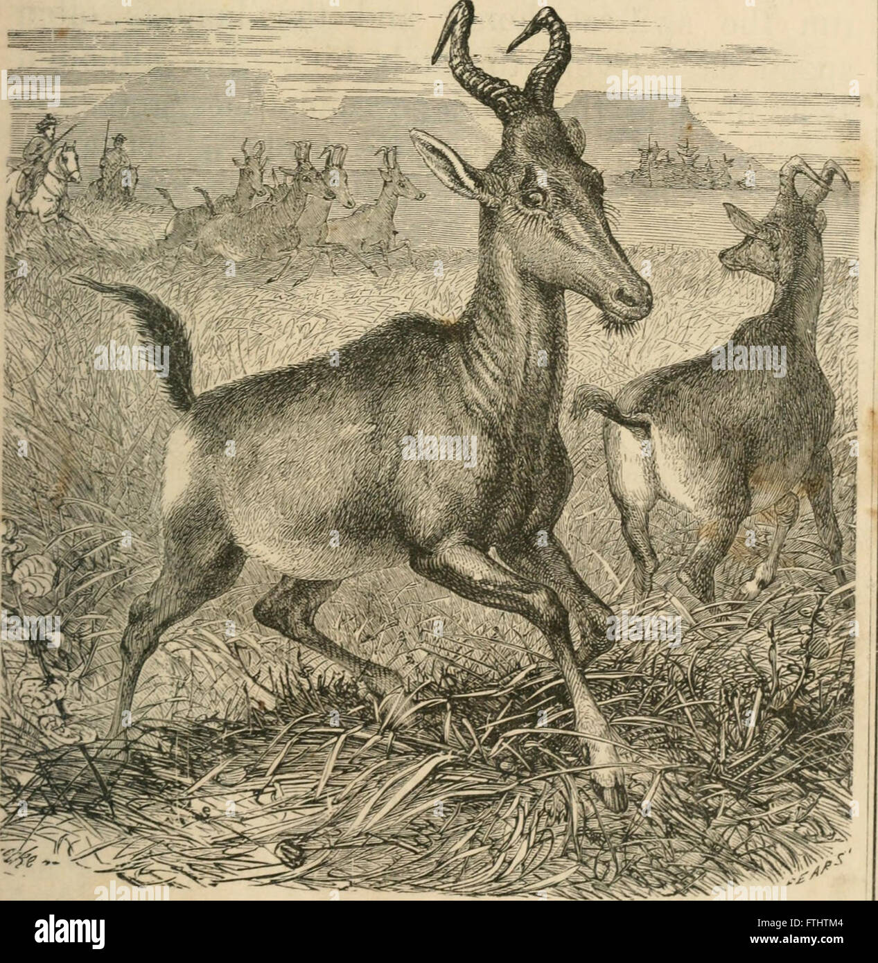 The 1857 publication Sunbeam provides literary content likely focused ...