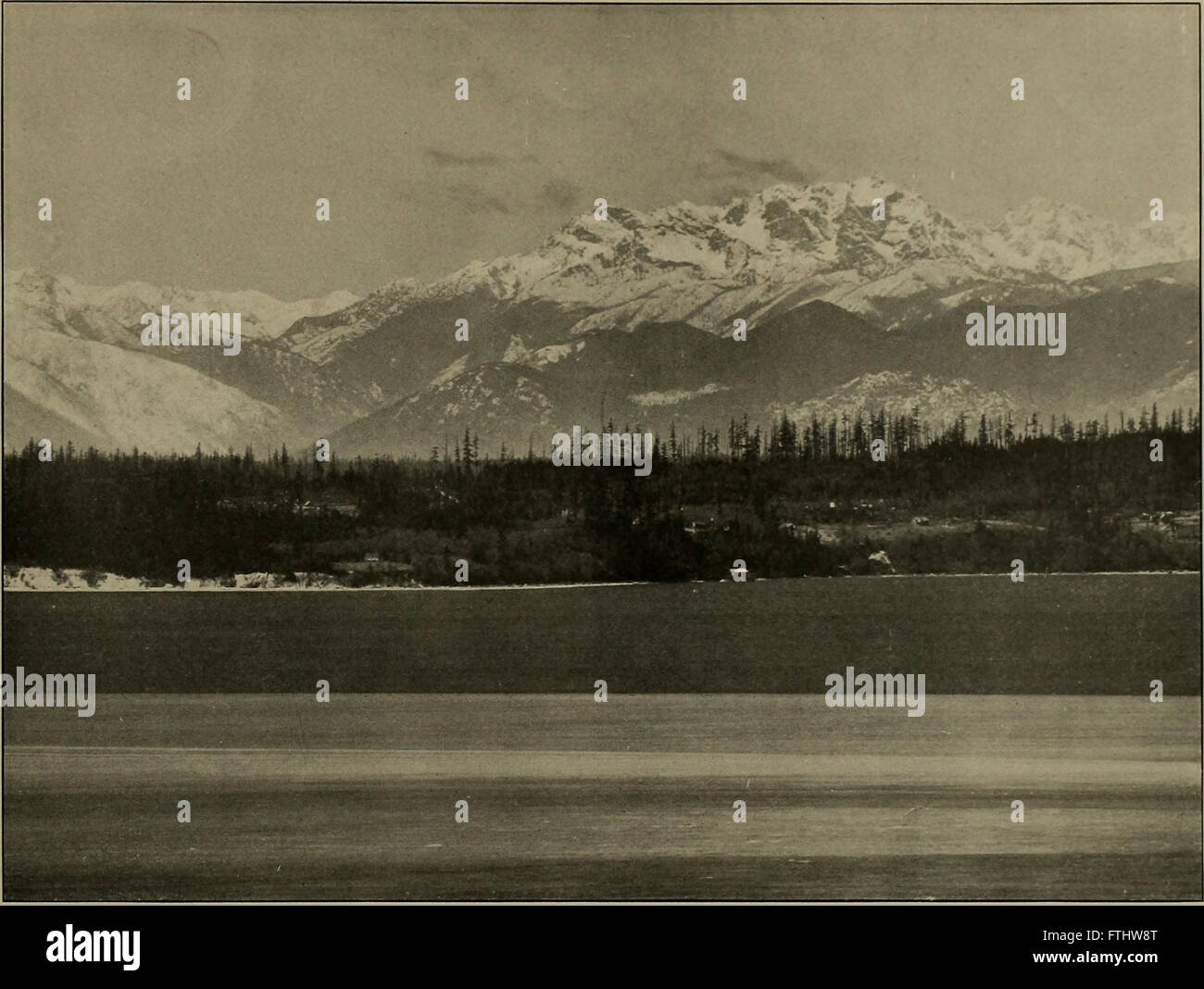 The 'Alaska-Yukon-Pacific Exposition' (1909) highlights the exhibition ...