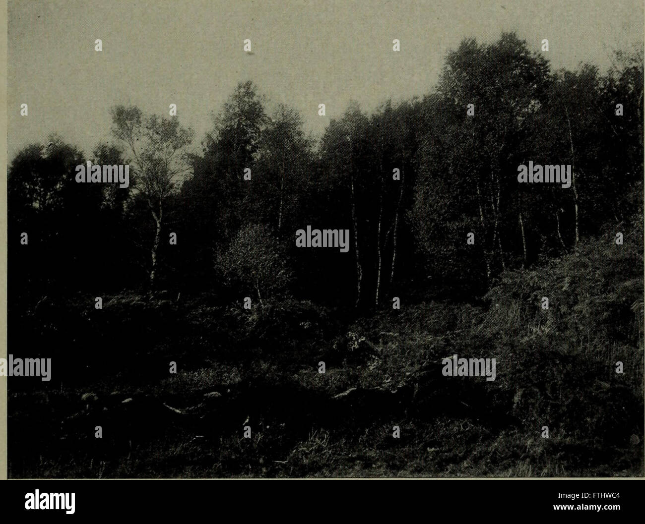A 1911 annual publication documenting the developments in the field of ...