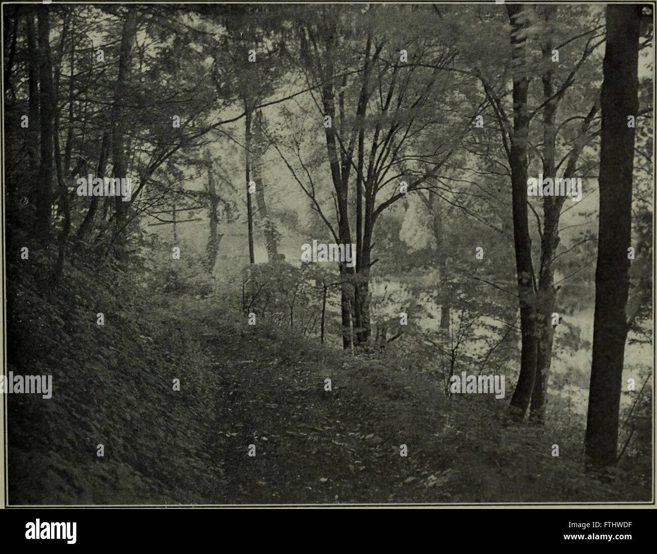 *The American Annual of Photography* (1911) highlights innovations in ...