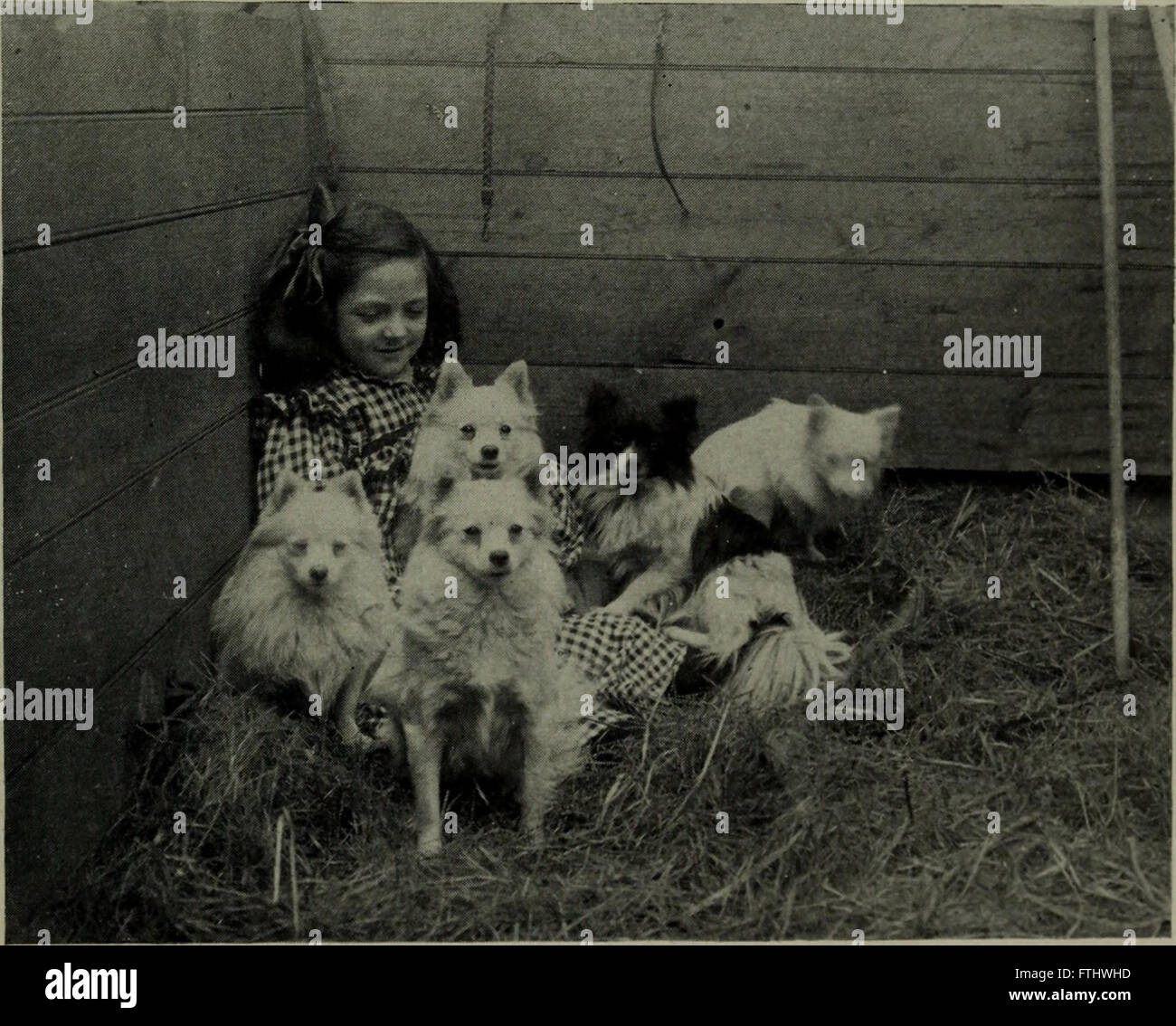 The 1911 edition of 'The American Annual of Photography' features ...
