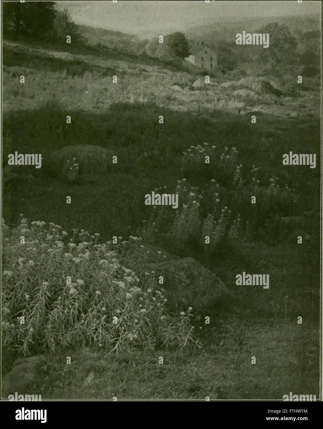 The 1912 edition of *The American Annual of Photography* includes ...