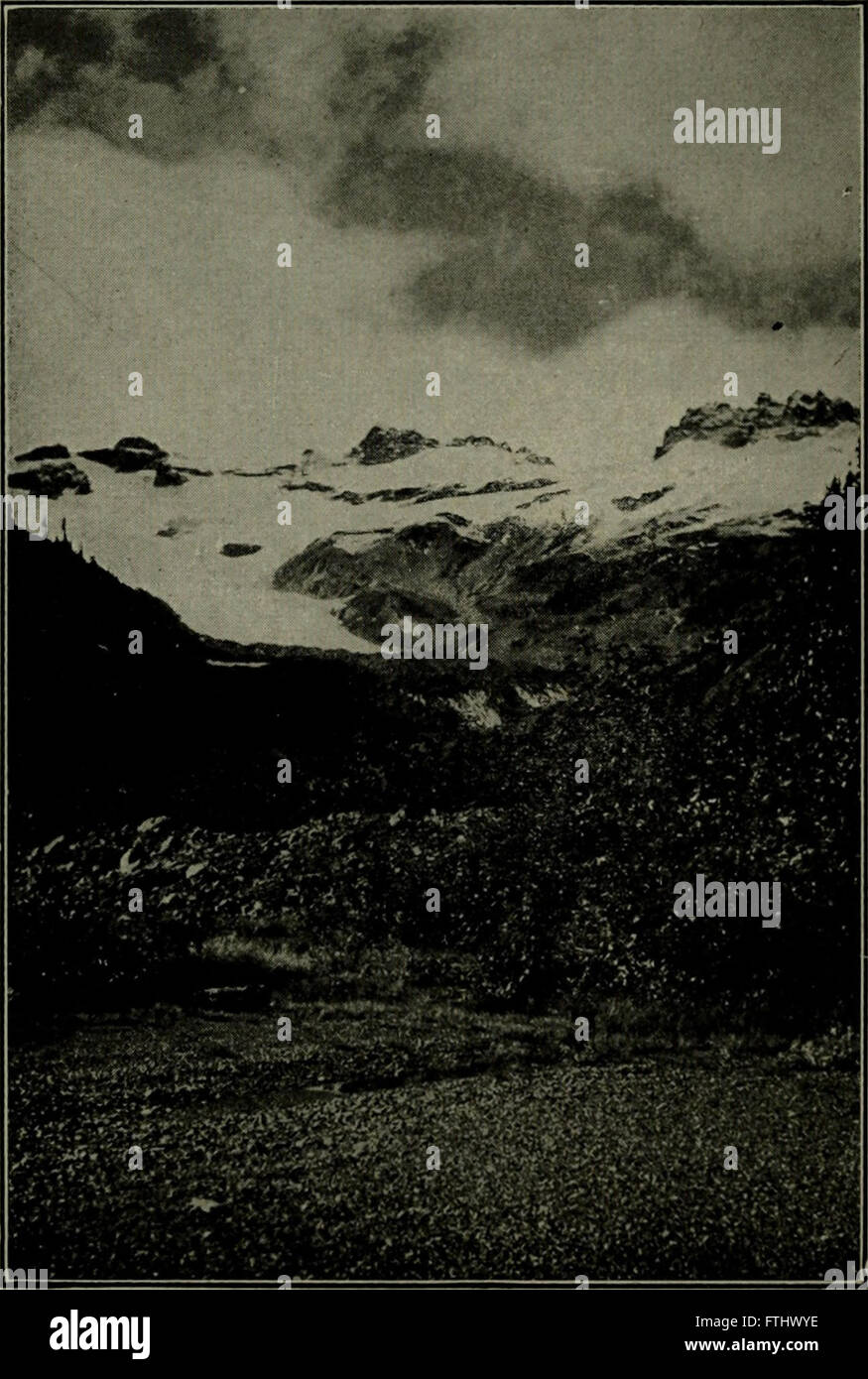 The 1914 edition of 'The American Annual of Photography' showcases ...