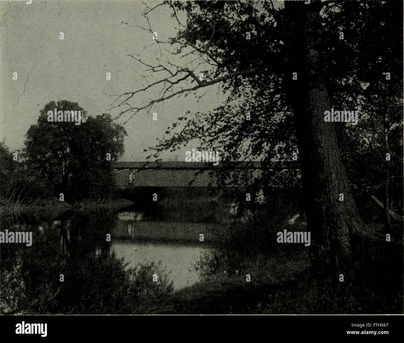 The 1917 'American Annual of Photography' offers comprehensive coverage ...