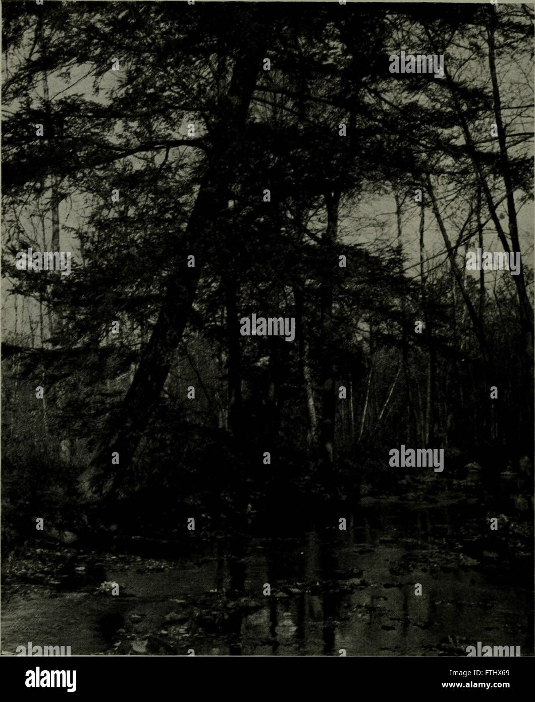 The 1917 edition of The American Annual of Photography features key ...