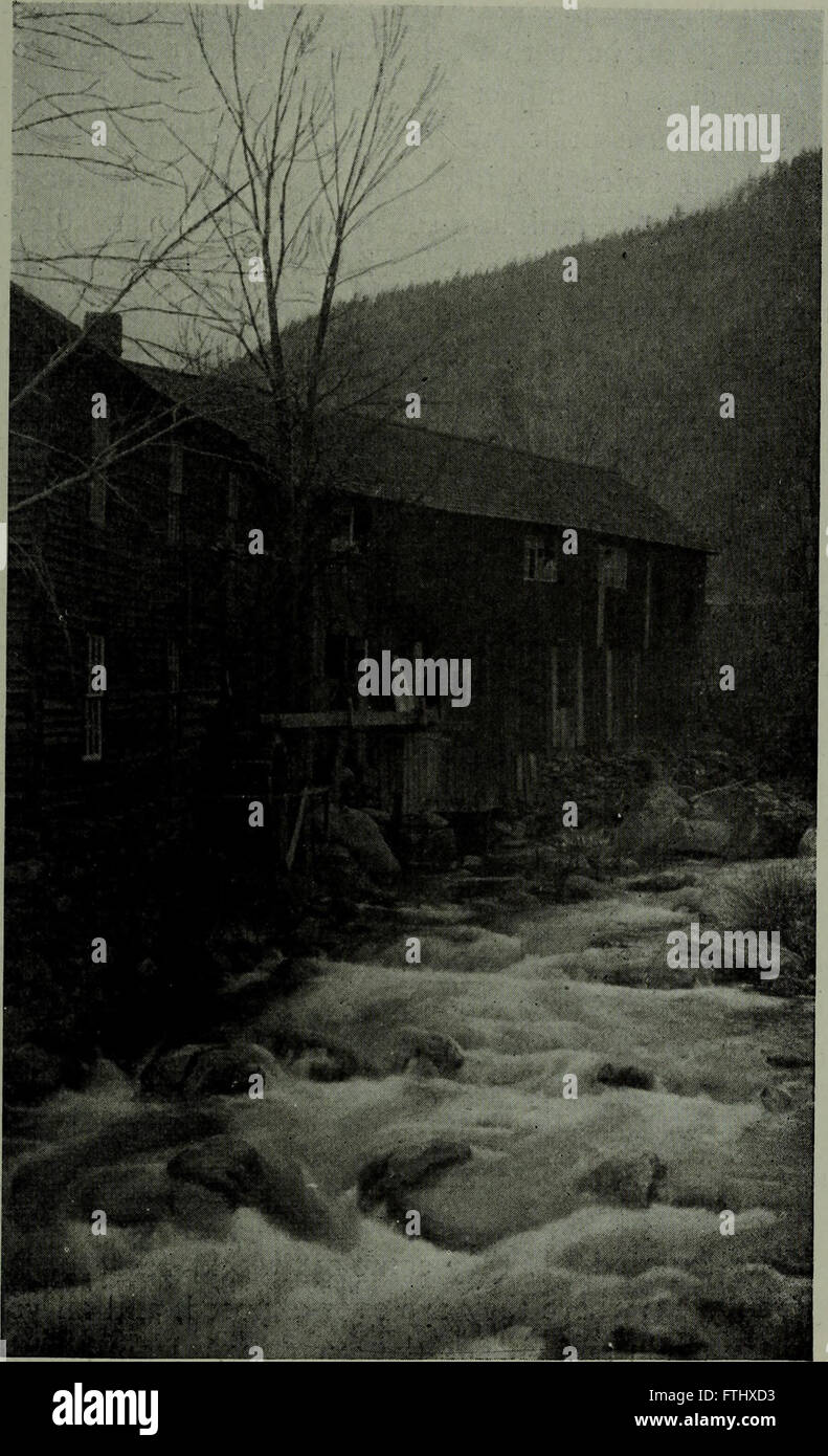A comprehensive review of photography in America for the year 1919 ...