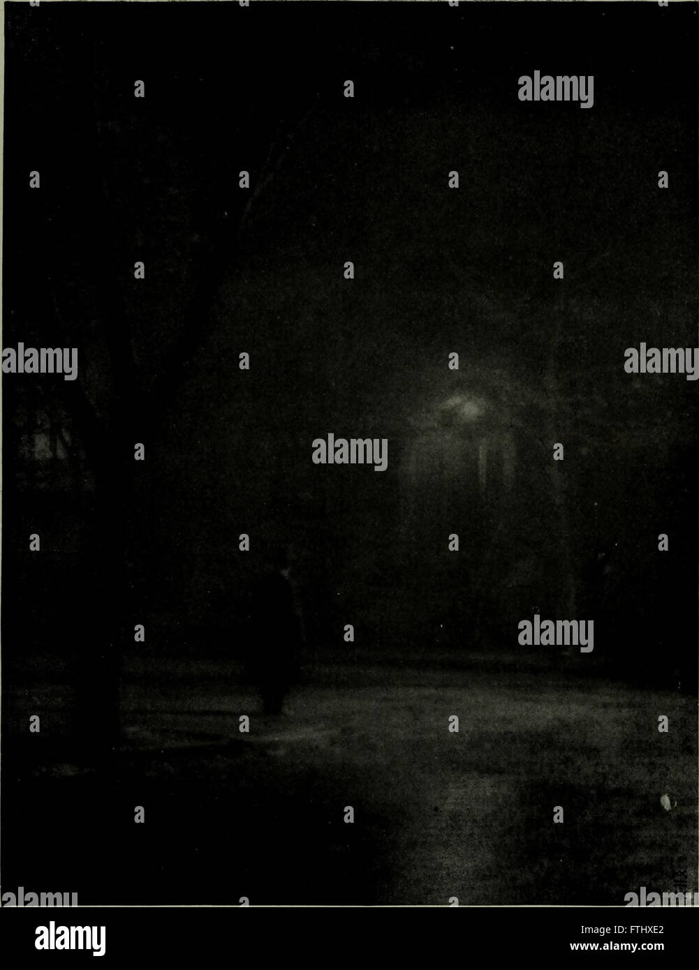 A yearbook documenting the advancements in photography during 1919 ...