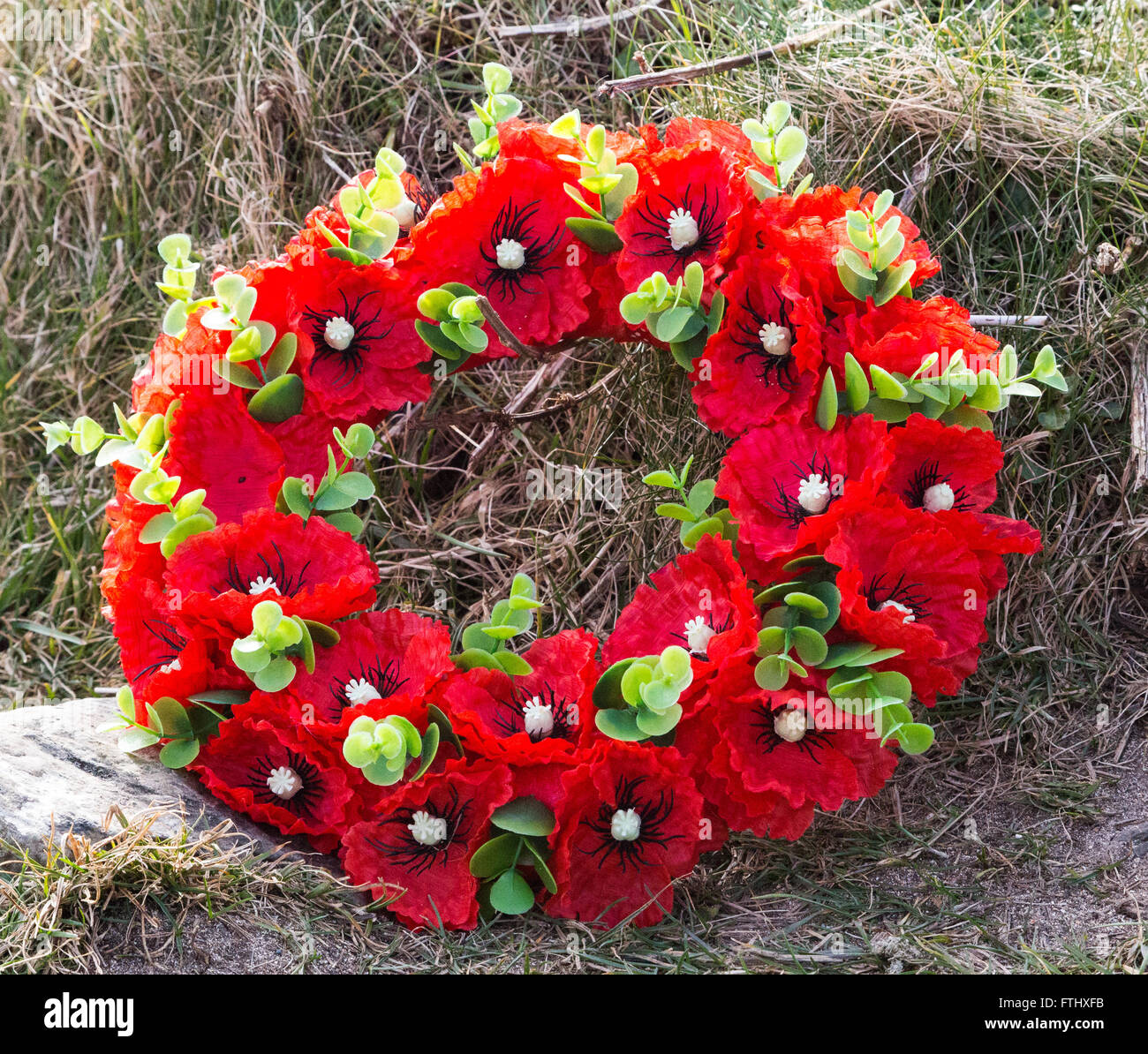 Poppy Wreath in Church Yard in Cornwall UK Stock Photo - Alamy
