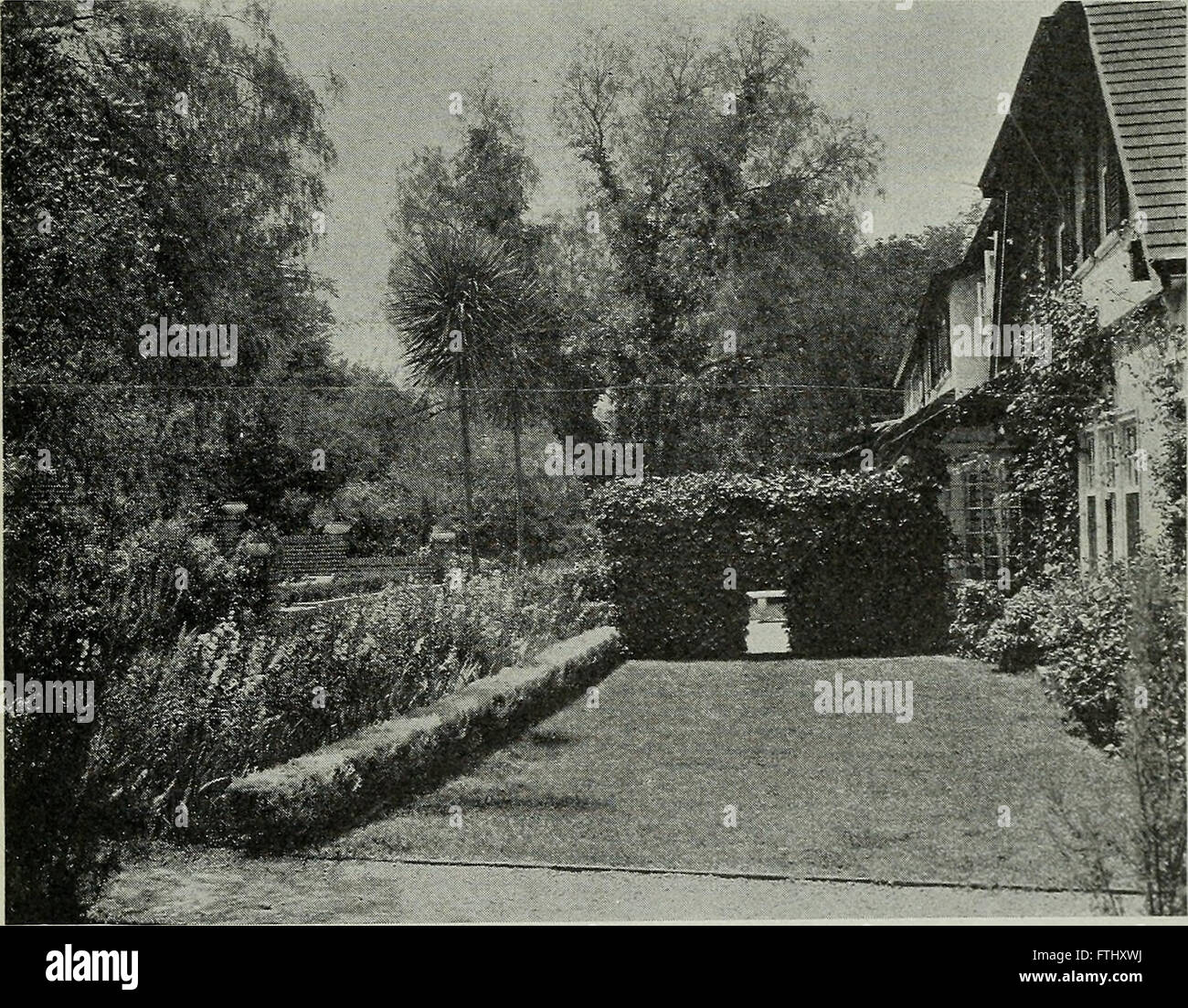 Architect and engineer (1920 Stock Photo - Alamy