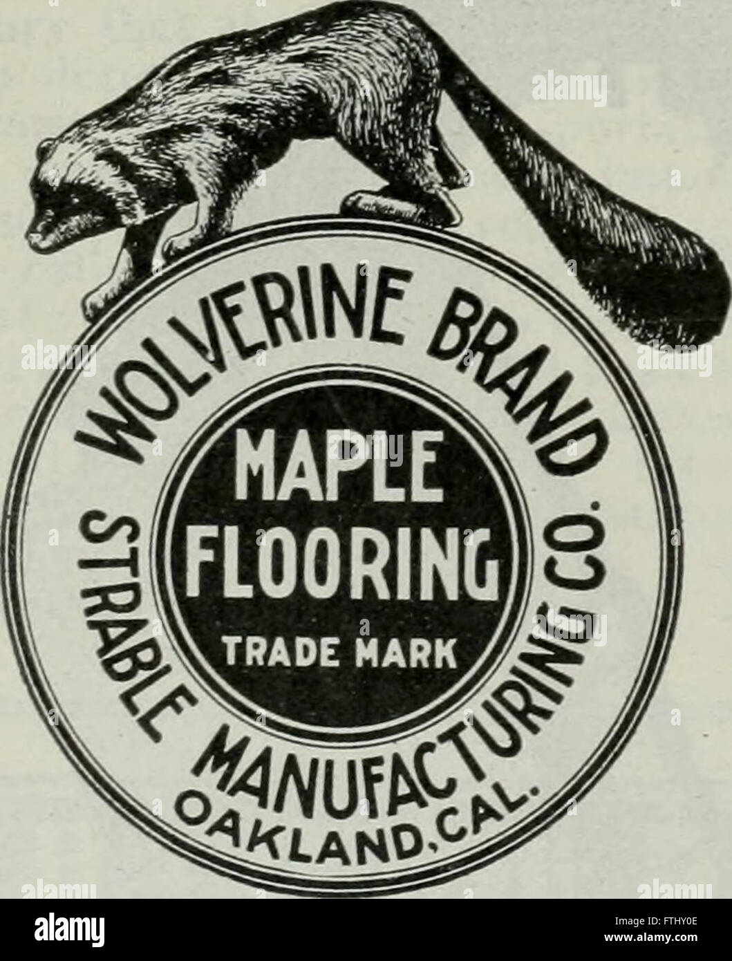 Architect and engineer (1920 Stock Photo - Alamy