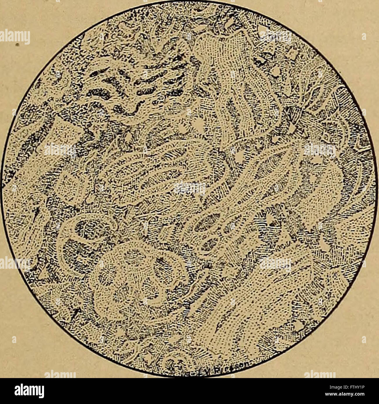 'The American Journal of Science' (1915) is a scientific periodical ...