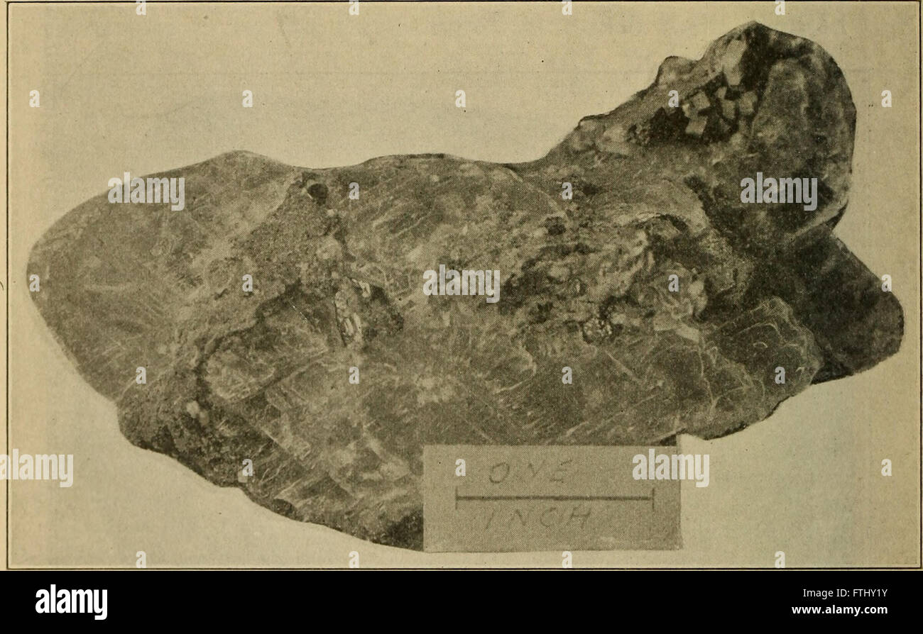 The *American Journal of Science* (1919) publishes scientific research ...