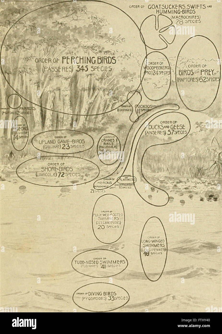 A 1914 work that provides a comprehensive foundation for understanding ...