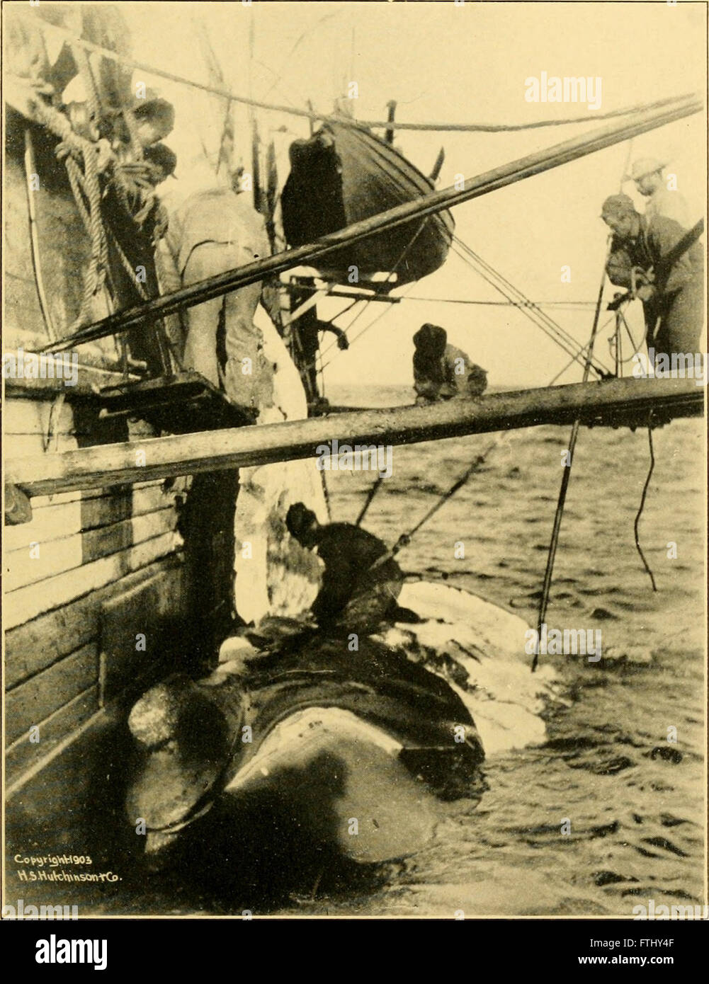 American whaling industry hi-res stock photography and images - Alamy