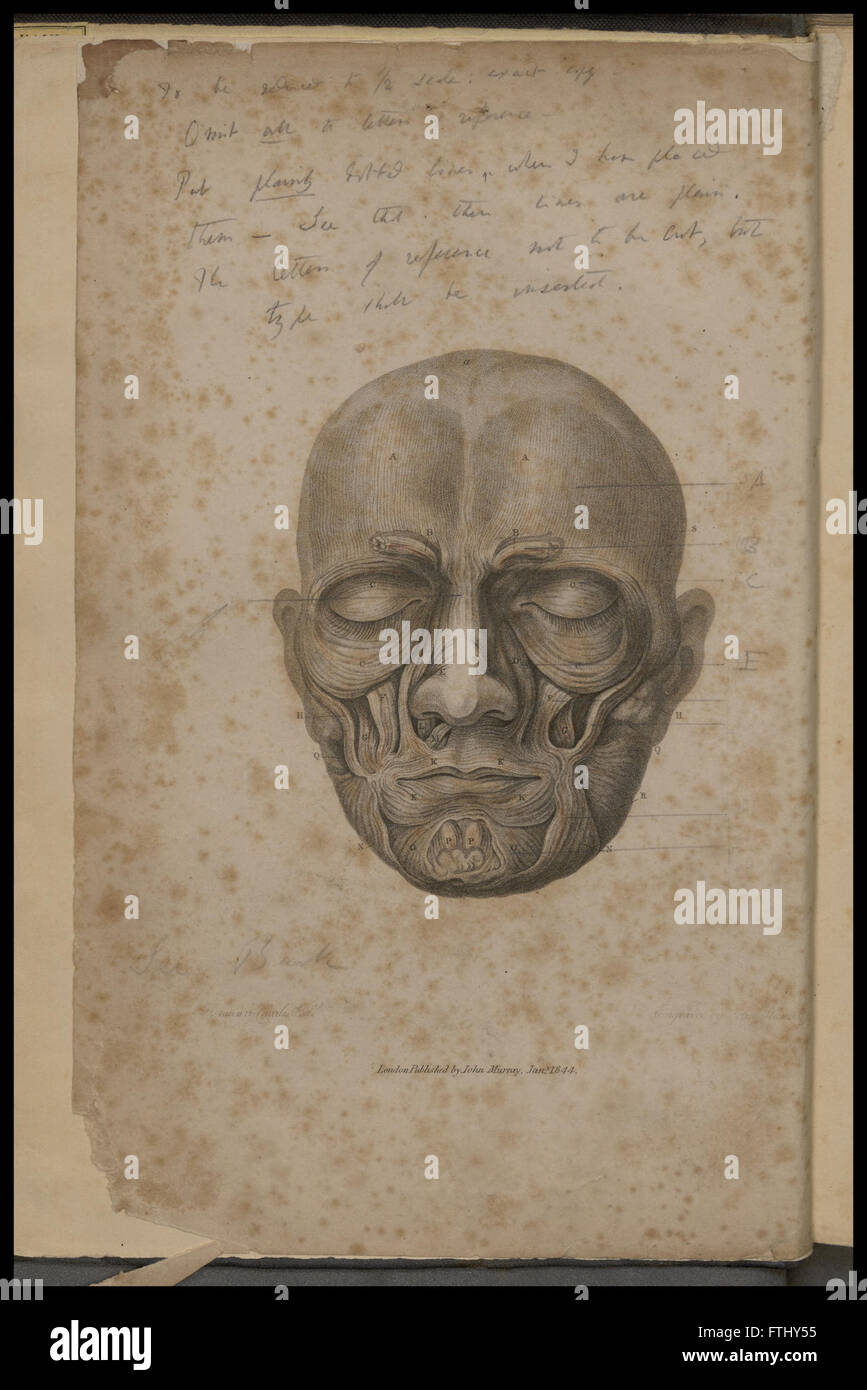 A study of the human body's expressions, examining the physiological ...