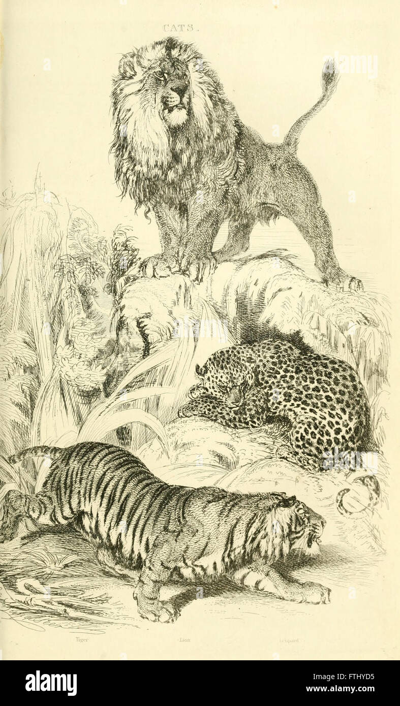 This work provides a systematic arrangement of the animal kingdom based ...