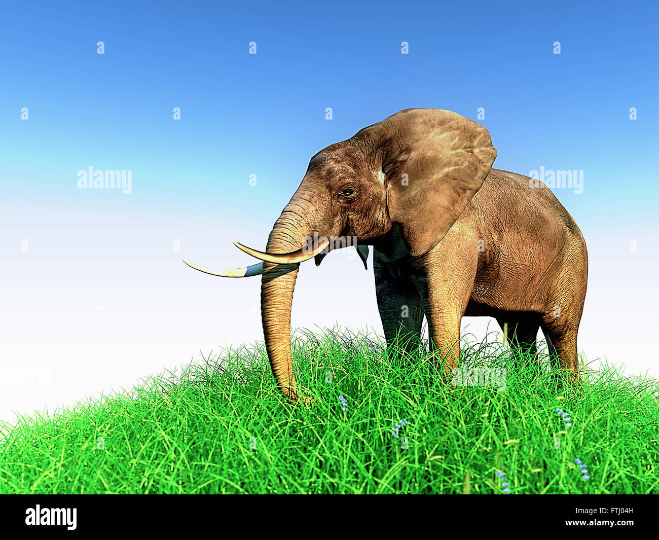 Elephant On Grassland Wallpapers Elephants, Animal, Animals, Blue Sky,