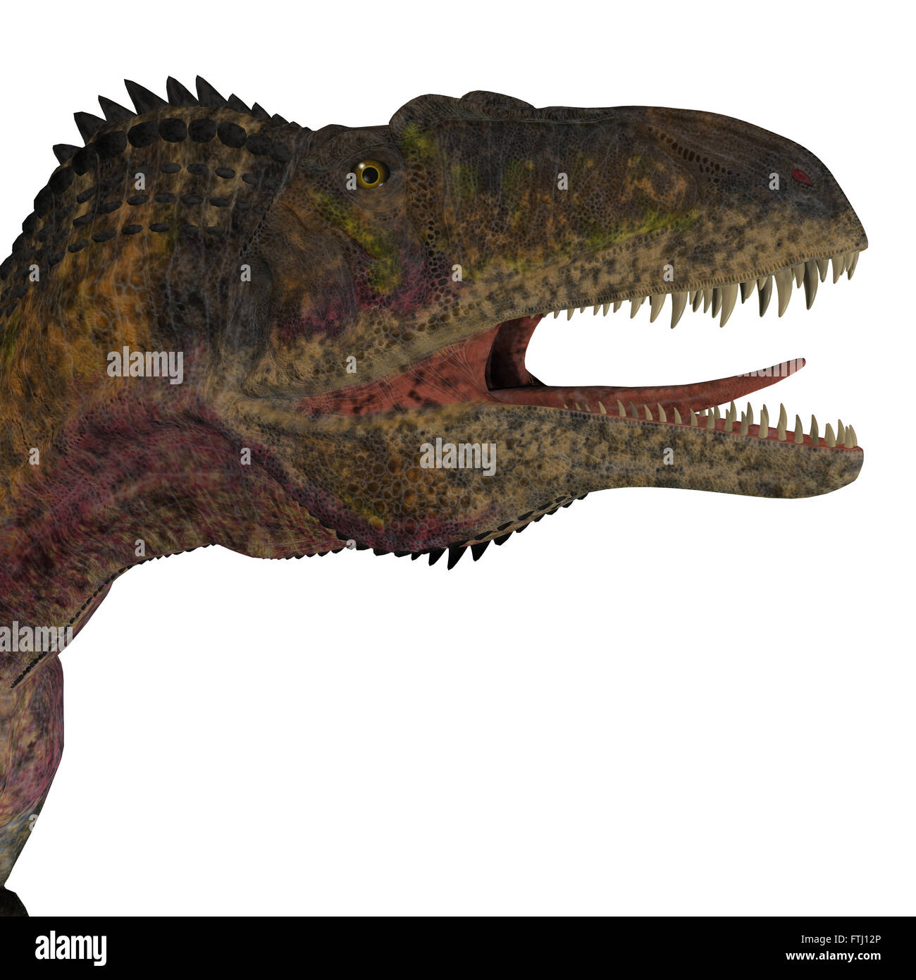 Acrocanthosaurus hi-res stock photography and images - Alamy